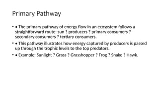Energy Dynamics in an Ecosystem: Trophic Organization, Energy Flow ...
