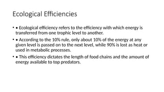 Energy Dynamics in an Ecosystem: Trophic Organization, Energy Flow ...