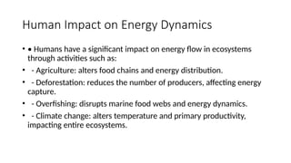 Energy Dynamics in an Ecosystem: Trophic Organization, Energy Flow ...
