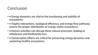 Energy Dynamics in an Ecosystem: Trophic Organization, Energy Flow ...