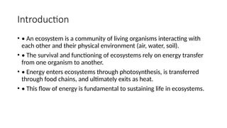 Energy Dynamics in an Ecosystem: Trophic Organization, Energy Flow ...