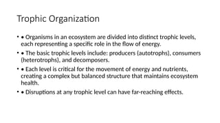 Energy Dynamics in an Ecosystem: Trophic Organization, Energy Flow ...
