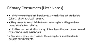 Energy Dynamics in an Ecosystem: Trophic Organization, Energy Flow ...