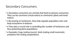 Energy Dynamics in an Ecosystem: Trophic Organization, Energy Flow ...