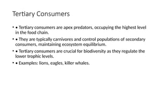 Energy Dynamics in an Ecosystem: Trophic Organization, Energy Flow ...