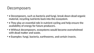 Energy Dynamics in an Ecosystem: Trophic Organization, Energy Flow ...