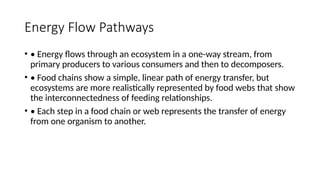 Energy Dynamics in an Ecosystem: Trophic Organization, Energy Flow ...