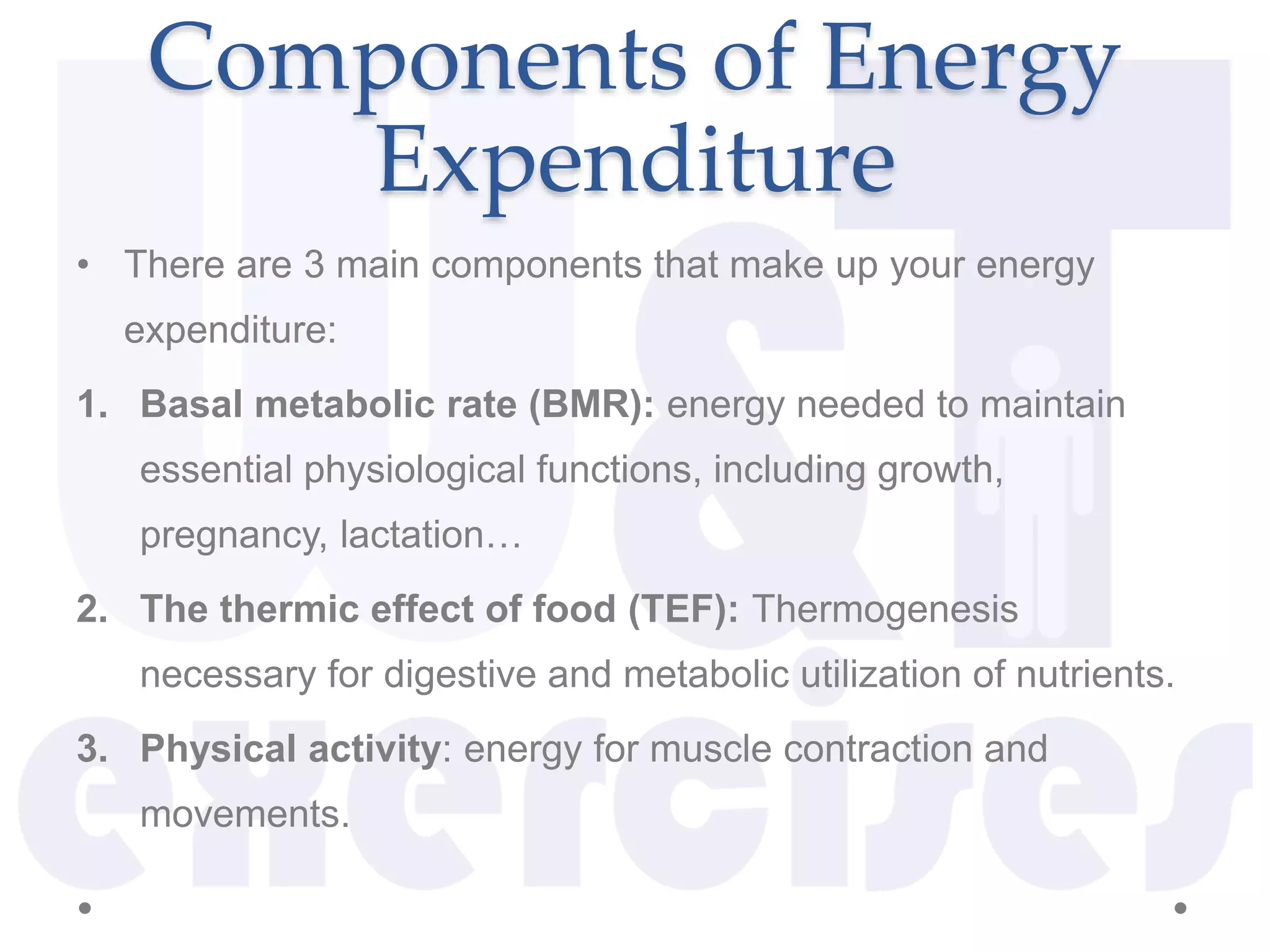 Energy expenditure | PPTX