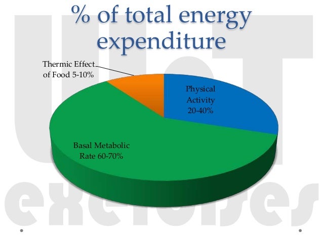 Energy expenditure