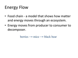 Energy Flow | PPT