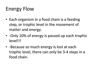 Energy Flow | PPT