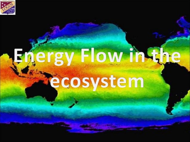 Energy Flow | PPT