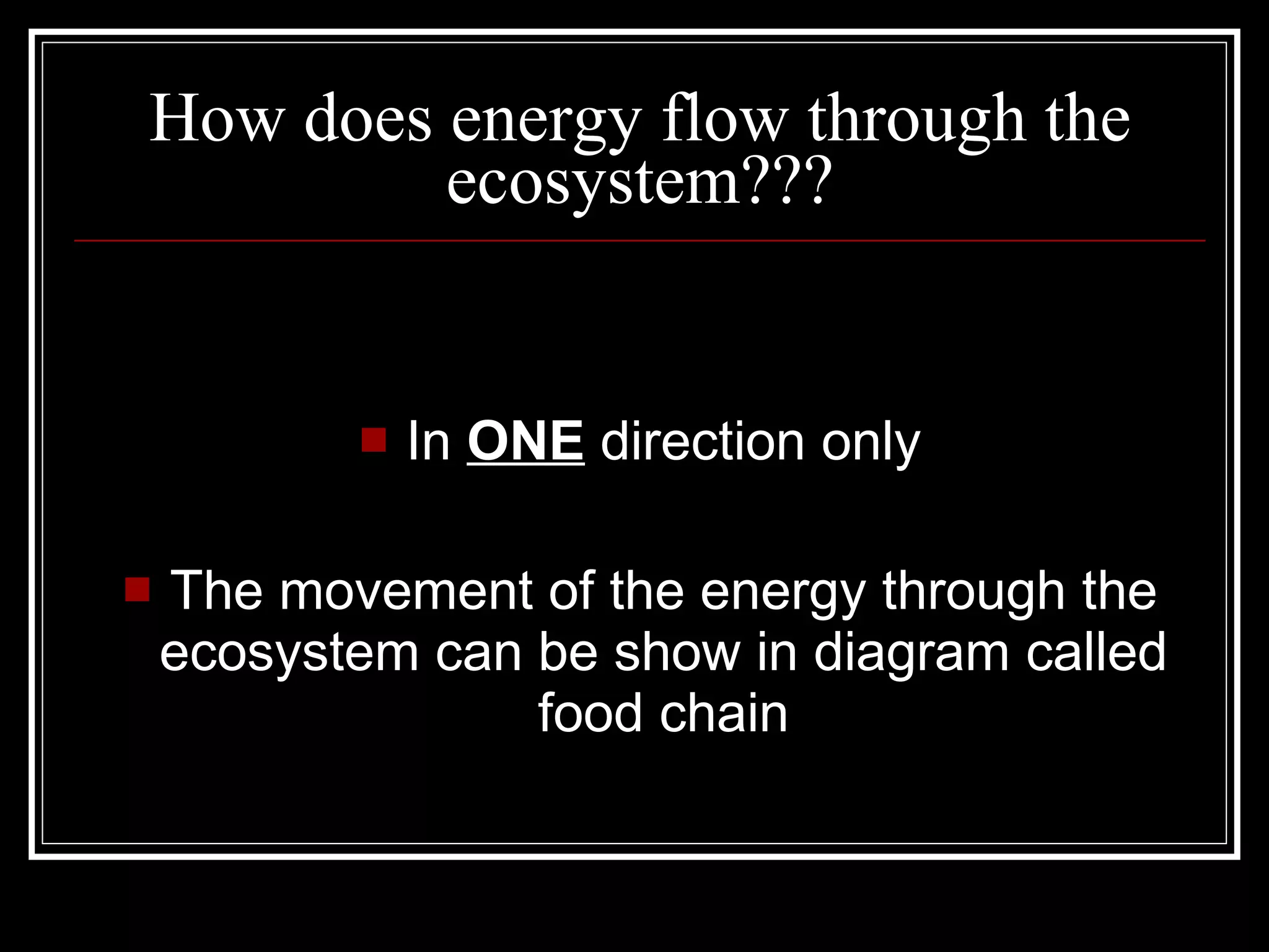 Energy flow in ecosystems | PPT
