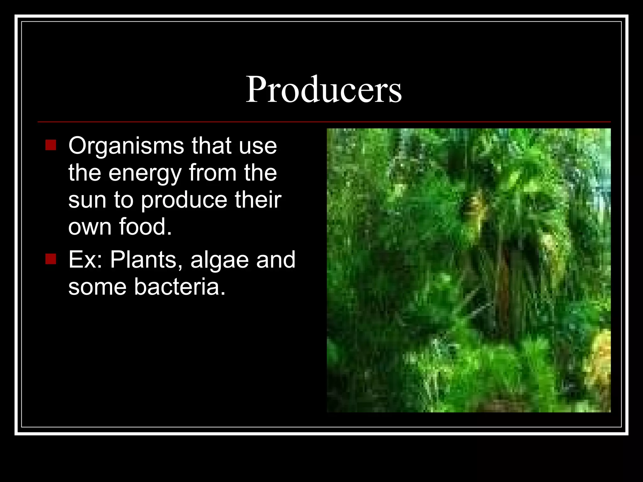 Energy flow in ecosystems | PPT