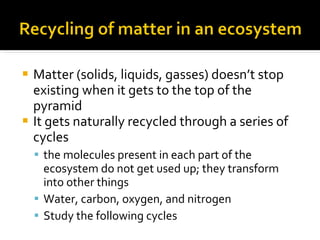 Energy flow | PPT