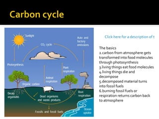 Energy flow | PPT