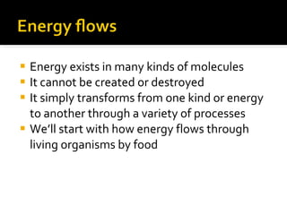 Energy flow | PPT