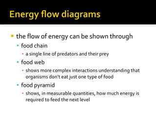 Energy flow | PPT