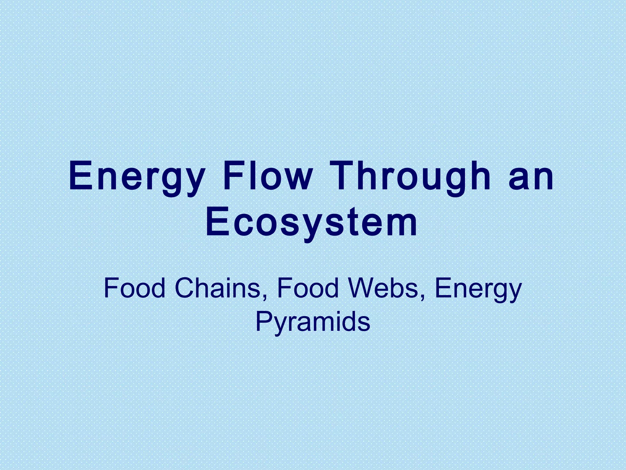 Energy flow | PPT