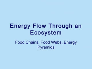 Energy flow | PPT