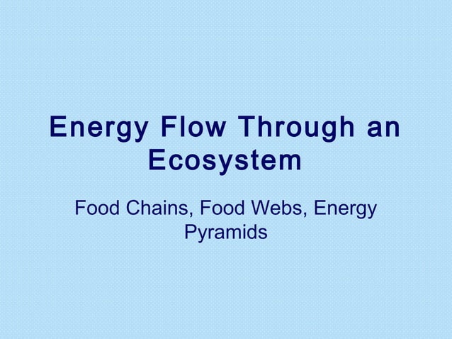 Energy flow | PPT