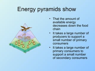 Energy flow | PPT
