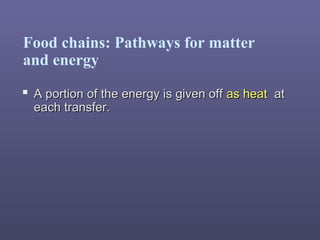 Energy flow | PPT | Free Download