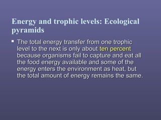 Energy flow | PPT