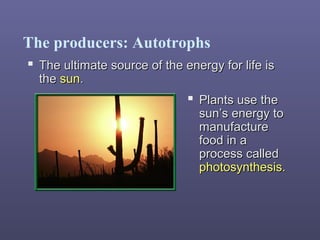 Energy flow | PPT