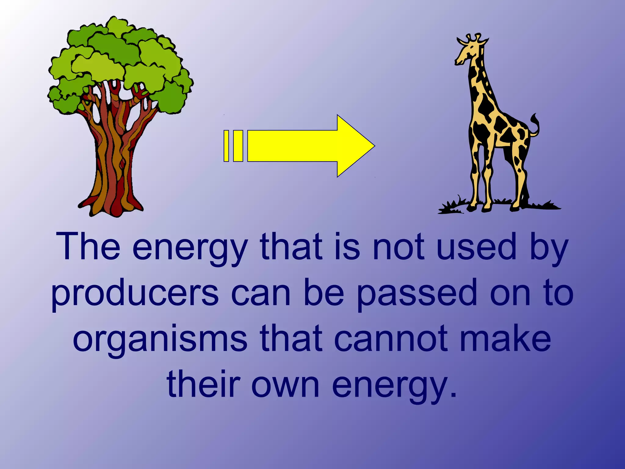 Energy flow | PPT