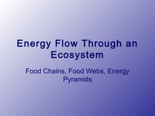 Energy flow | PPT