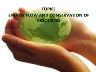 Energy flow And conservation of resources | PPTX