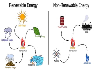 Energy flow And conservation of resources | PPTX
