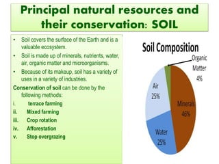 Energy flow And conservation of resources | PPTX