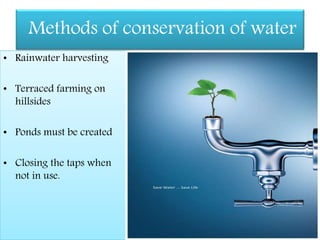Energy flow And conservation of resources | PPTX