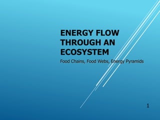 energyflow-150708013155-lva1-app6892.ppt.pptx