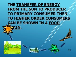 energyflow-150708013155-lva1-app6892.ppt.pptx