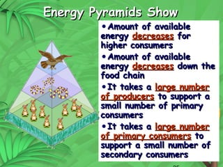 Energy flow | PPT
