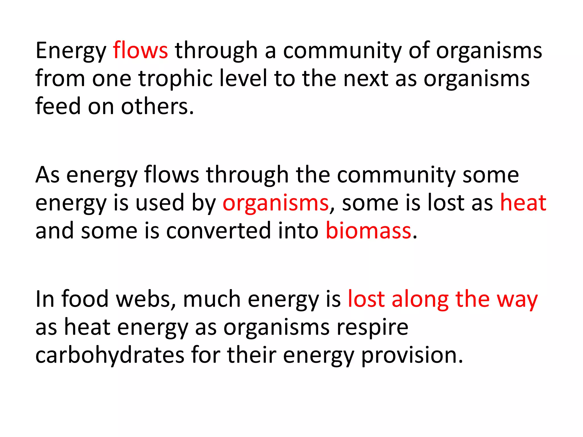 Energy flow | PPT