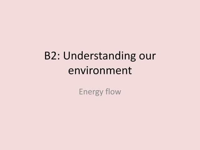 Energy flow | PPT