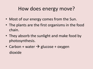 Energy flow | PPTX