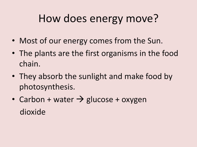 Energy flow | PPT | Free Download