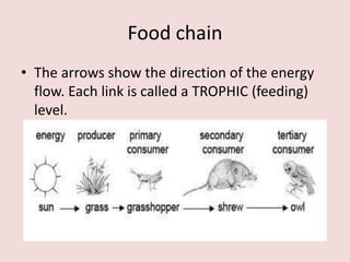 Energy flow | PPTX