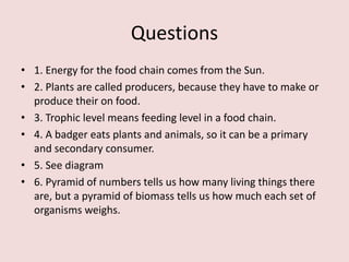 Energy flow | PPT