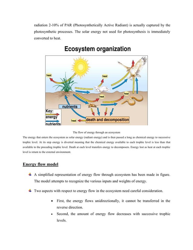 Energy flow | PDF | Physics | Science