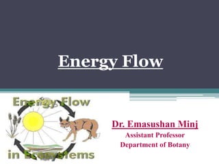Energy flow | PPTX