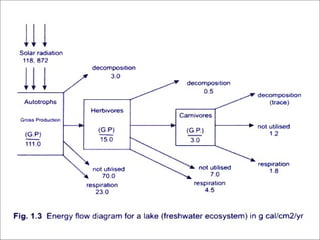 Energy flow by using energy models in ecosystem | PPT