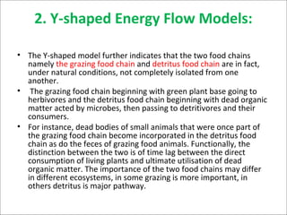 Energy flow by using energy models in ecosystem | PPT