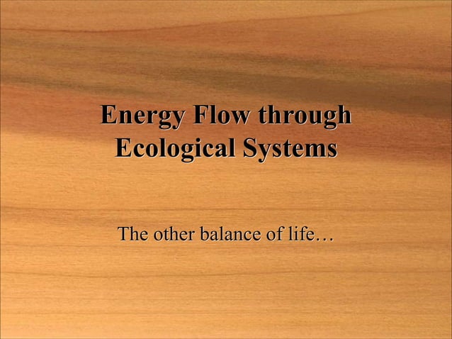 Energy flow 2 | PPT | Chemistry | Science