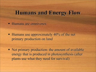 Energy flow 2 | PPT | Chemistry | Science